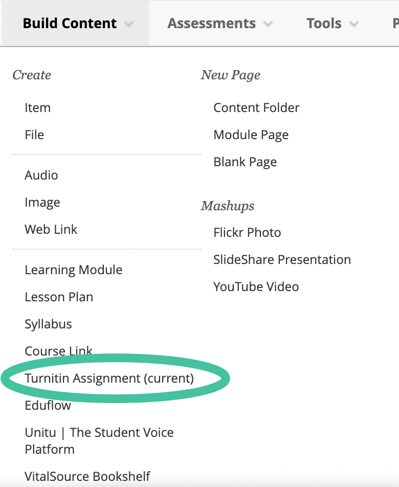 Changes to Turnitin – Summer 2022 - Teaching College