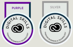Using digital badges to recognise digital skills - Teaching College